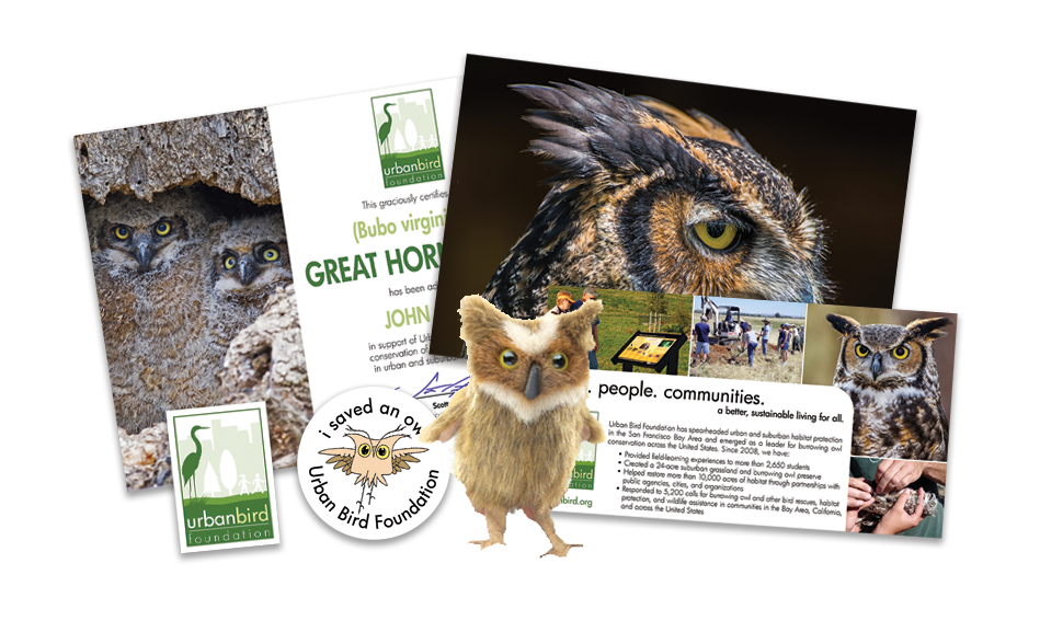 Adopt a Great Horned Owl - Urban Bird Foundation | Birds. People ...